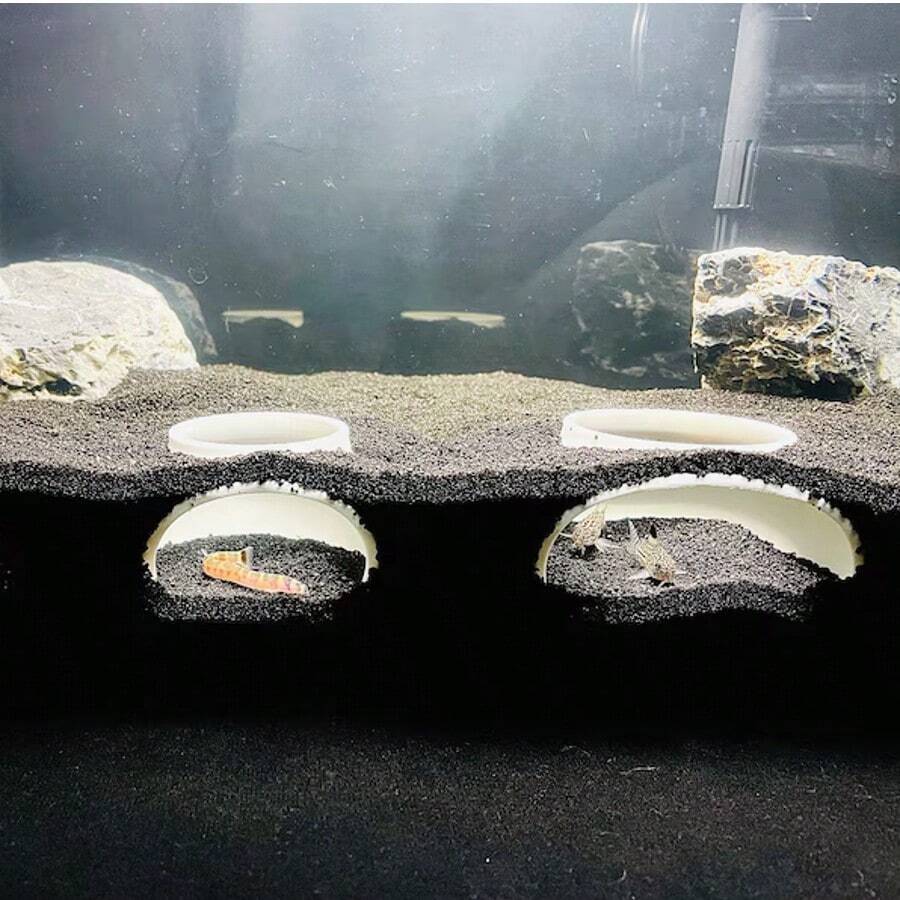 Bottom Dweller Aquarium Cave, Kuhli Loach Dojo Loach Corydoras Catfish ...