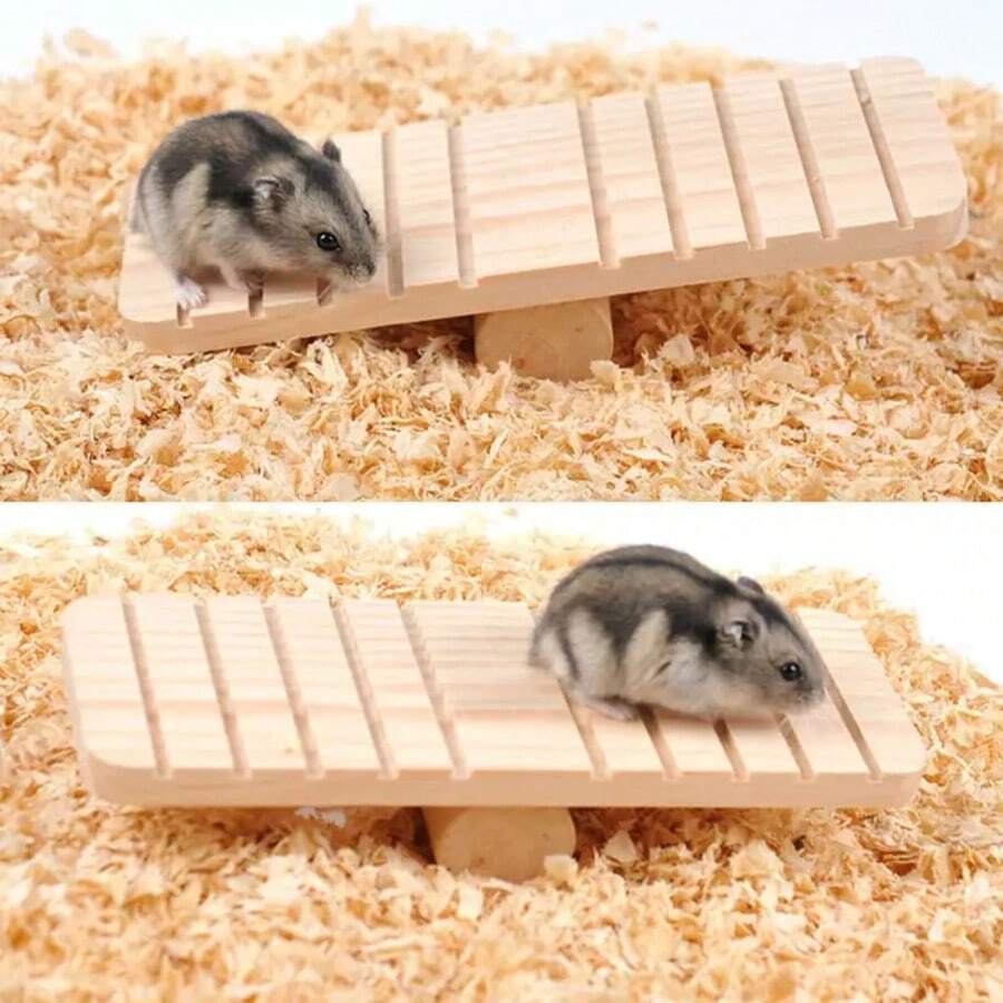 Cute Hamster Roller Toys Natural Wooden Pine Dumbells Unicycle Swing ...