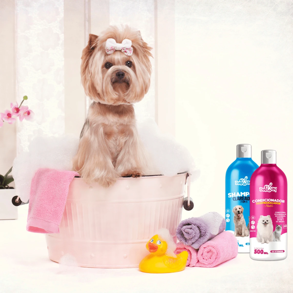 Brightening Shampoo And Detangling Conditioner For Dogs And Cats ...