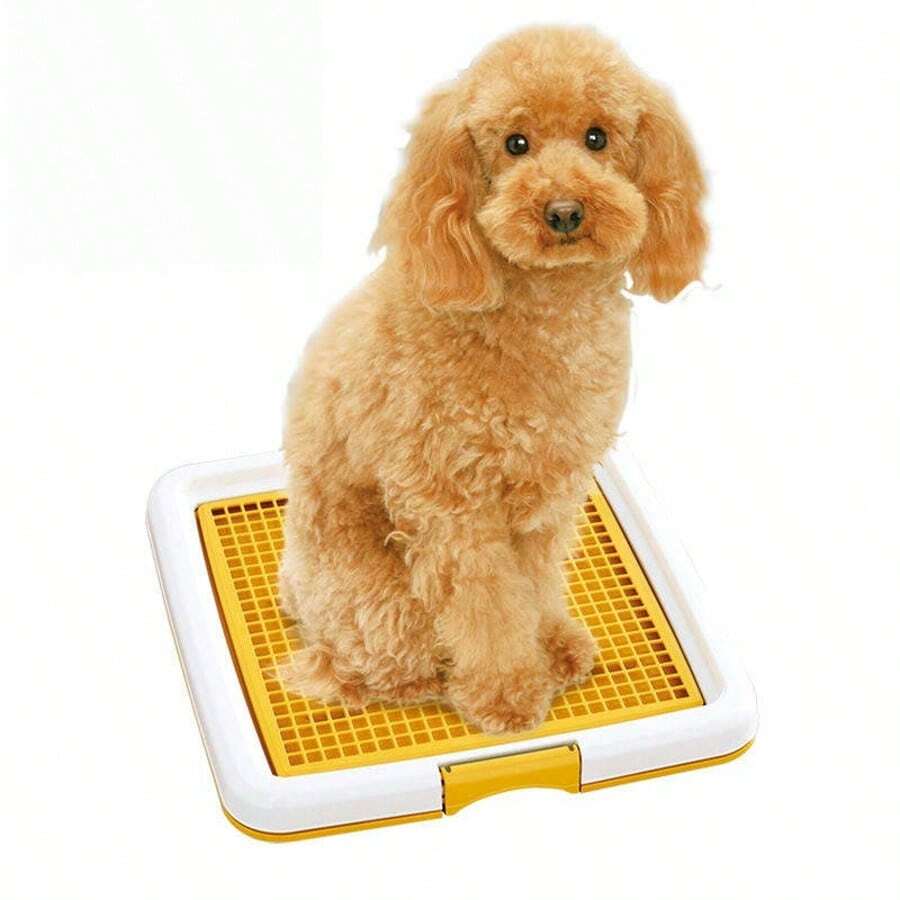 Alice Dog Toilet Yellow Dog Potty Small For Teddy Puppies Flushable ...