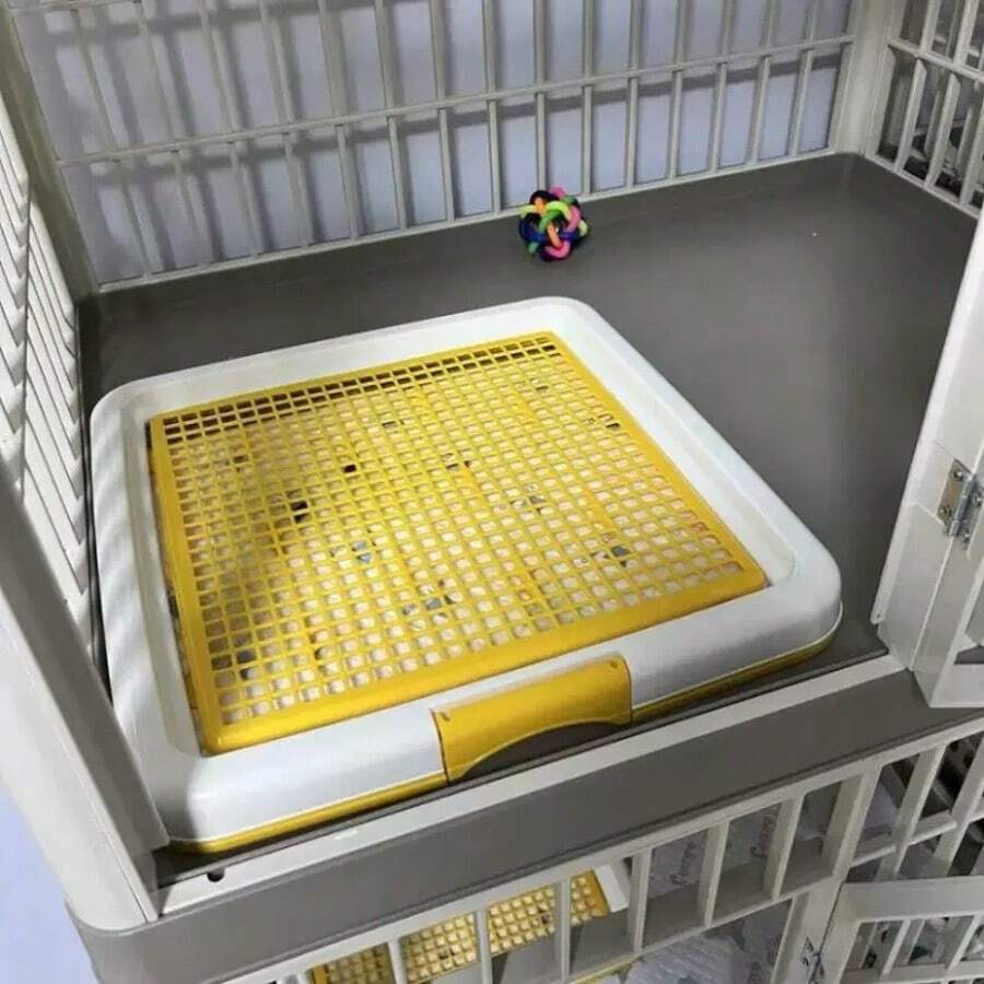 Alice Dog Toilet Yellow Dog Potty Small For Teddy Puppies Flushable ...