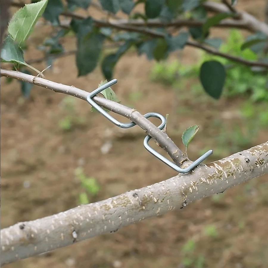 50 Pieces Of Fruit Branch Support Tools, Branch Spreaders For Fruit ...