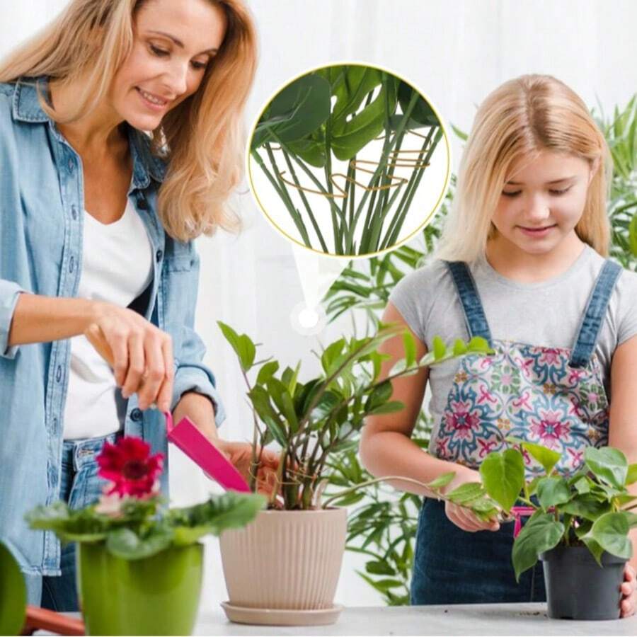 Plant Pole Supporting Pile With Adjustable Leaf Holder, Plant ...