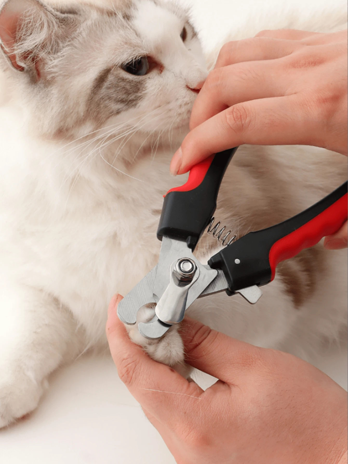 Pet Nail Clipper Set, Cat And Dog Specific Nail Clippers With Nail ...