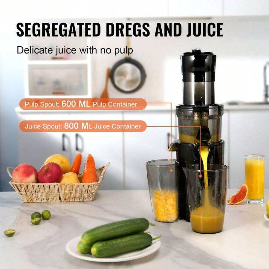 VEVOR Masticating Slow Juicer Electric Vegetables Fruit Squeezer Juice ...