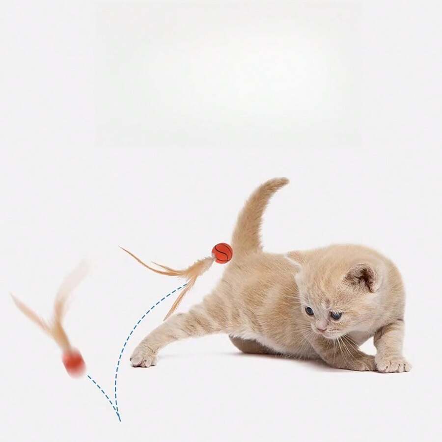 3pcs/Set Elastic Cat Toys With Feather Ball, Football, Basketball ...