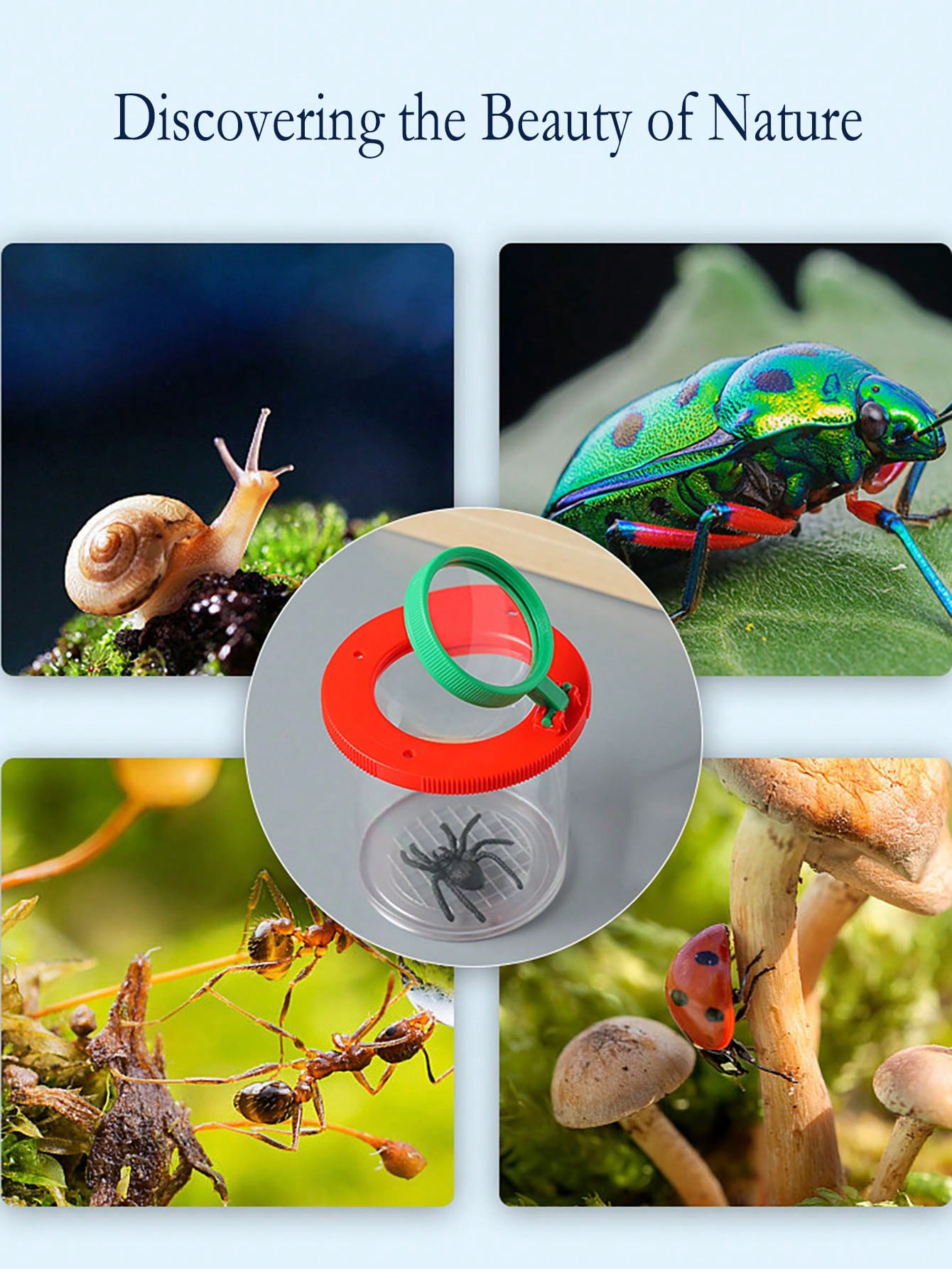 Random Color Outdoor Adventure Magnifying Glass Insect Observation Box ...