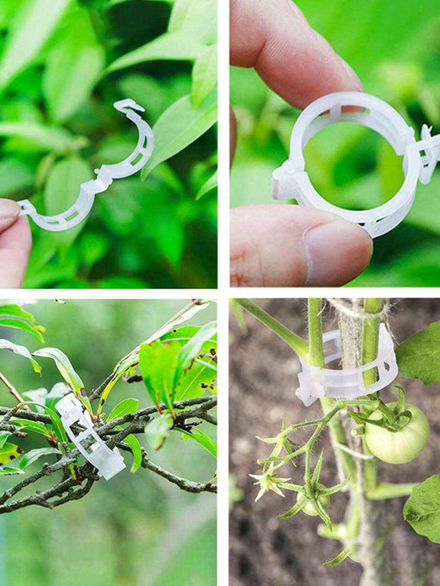 Plant Fixing Clips Tied Vine Clips Fixing Snap Green Plant Clips Vine ...