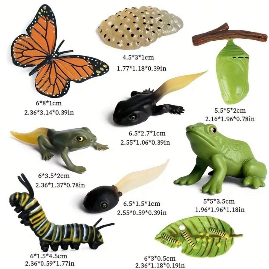 9pcs Life Cycle Figurines Toy Set Of Butterflies And Frogs, Butterflies ...