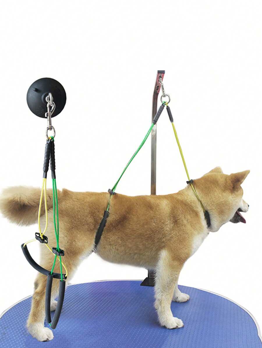 Double Tie Wire Rope, Pet Grooming Table Rope, Bath Peg Cat Peg Dog ...