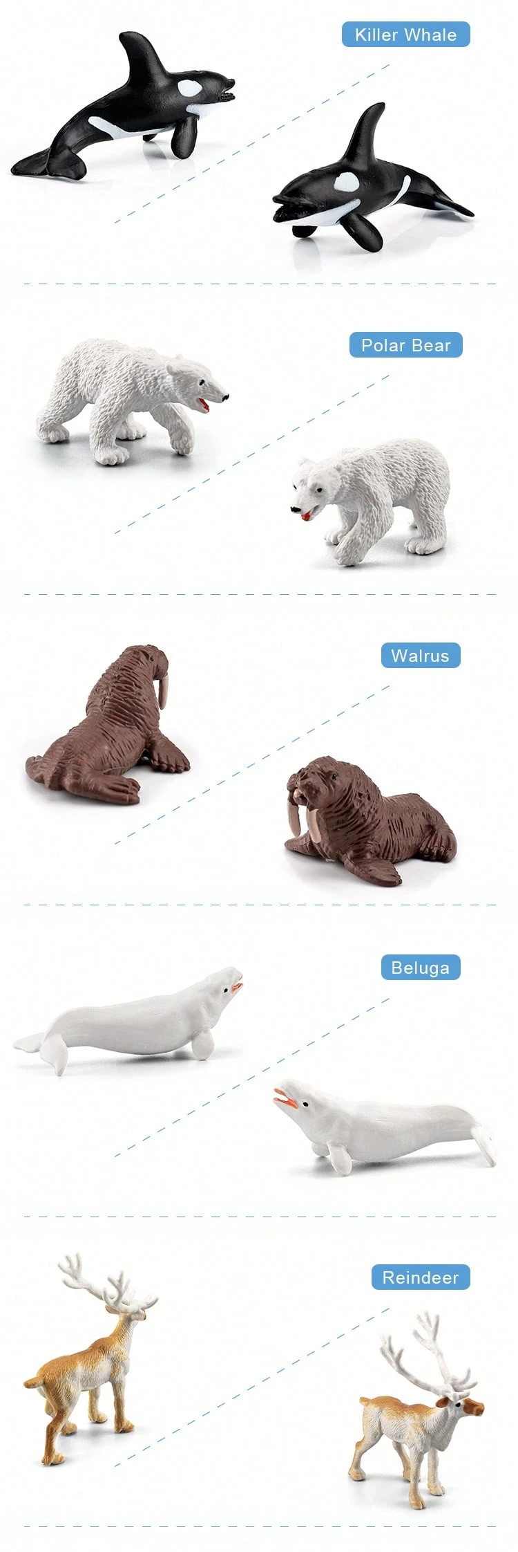 STEM Arctic Animal Models - Great For School Projects & Dioramas ...