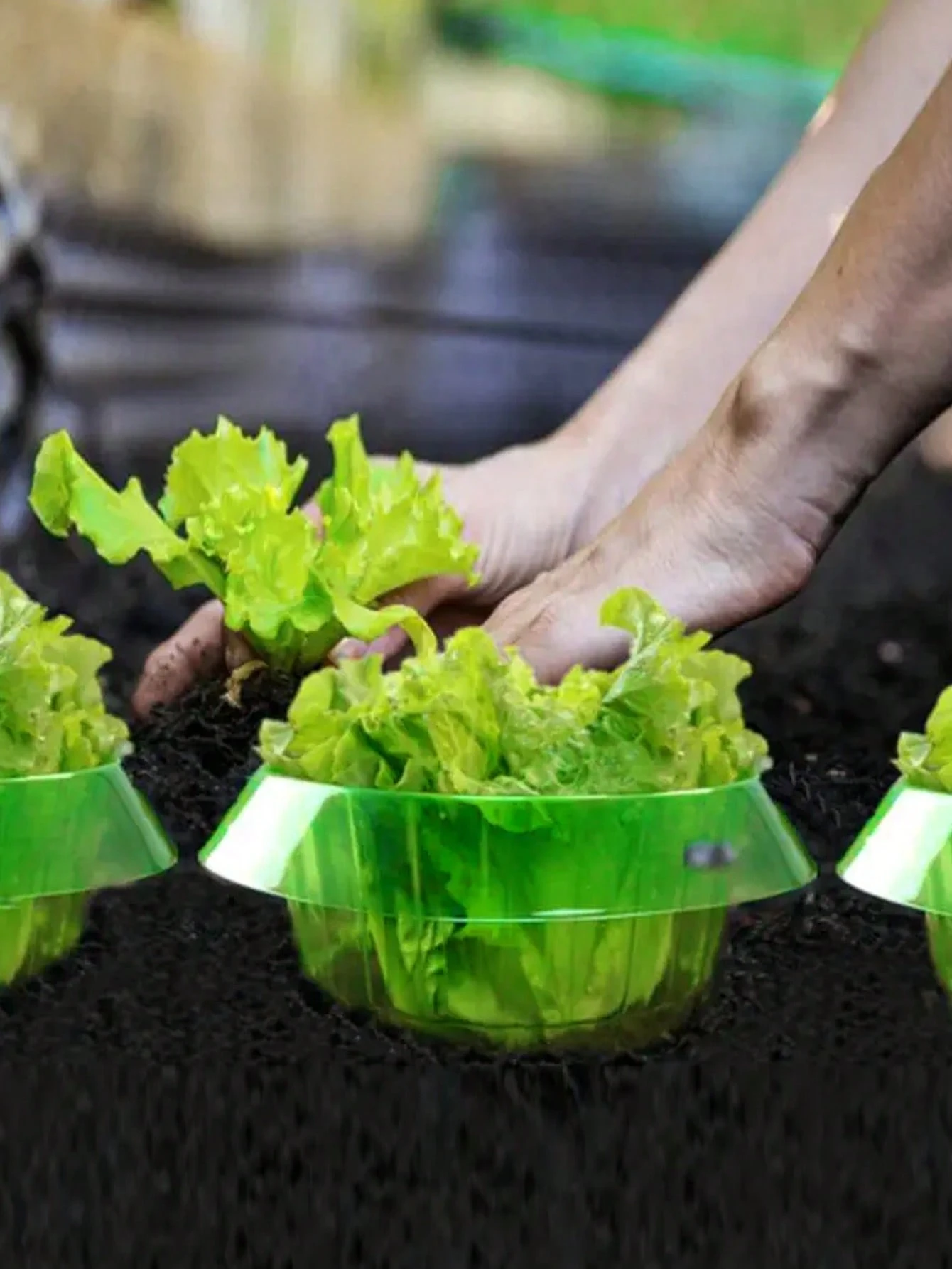 Vegetable Protection Cage, Thicker Snail-Proof Seedlings Guard, Round ...