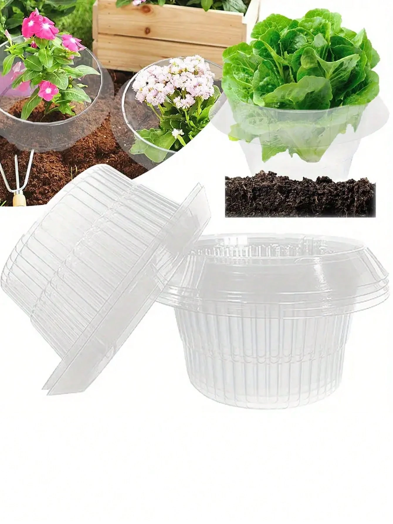 Vegetable Protection Cage, Thicker Snail-Proof Seedlings Guard, Round ...