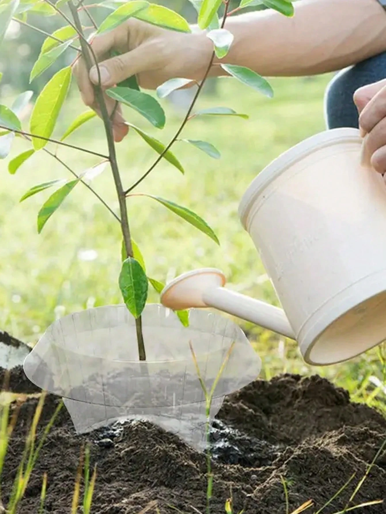 Vegetable Protection Cage, Thicker Snail-Proof Seedlings Guard, Round ...