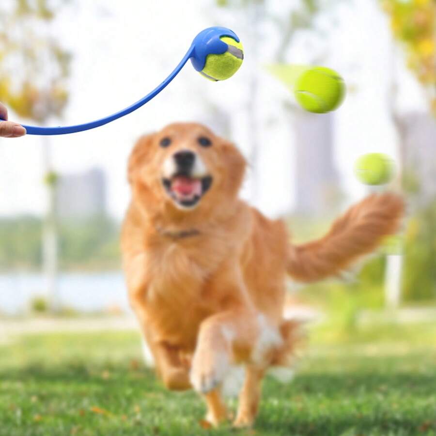 Outdoor Pet Training Toys Ball Fetch Stick, Non-Dirty Hand Ball Picker ...