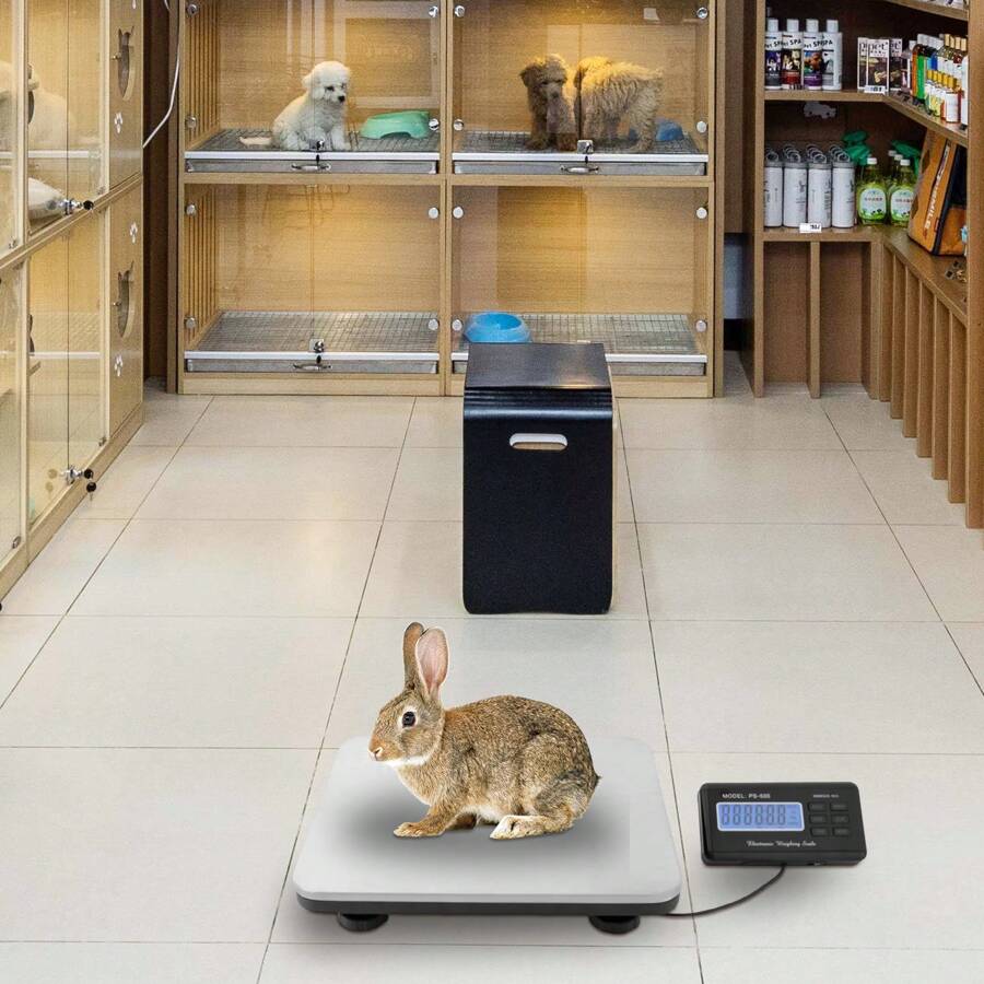 Pet Scale, Digital Pet Scale, Heavy Duty Scale | SHEIN South Africa