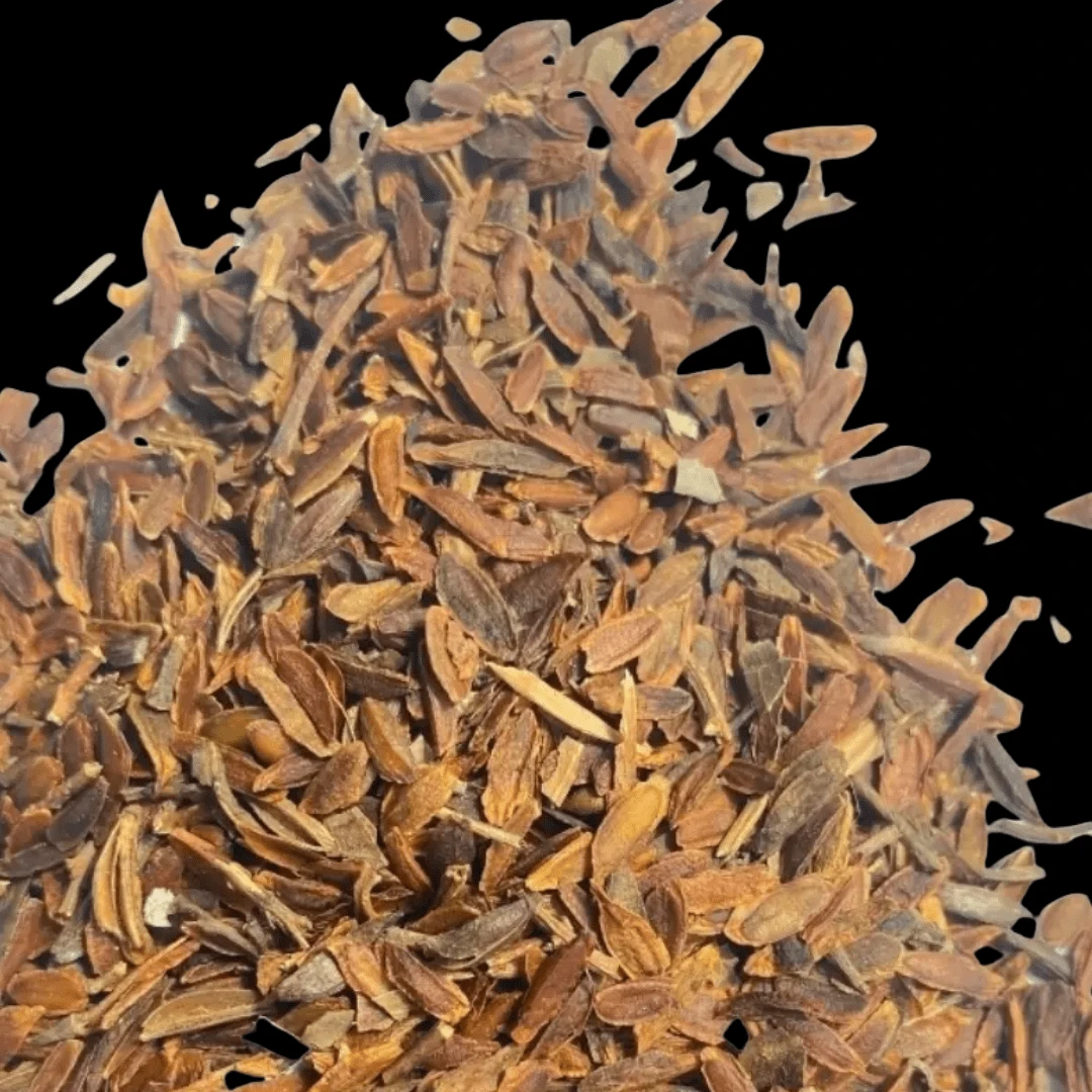 Dwarf Lilac Seeds For Planting, Syringa Meyeri Palibin Compact Shrub ...