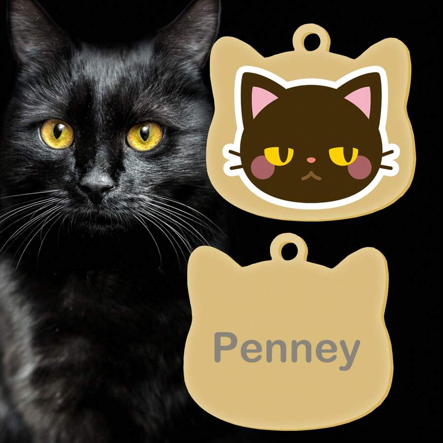 Étiquette d'identification pour animal de compagnie personnalisée avec ...