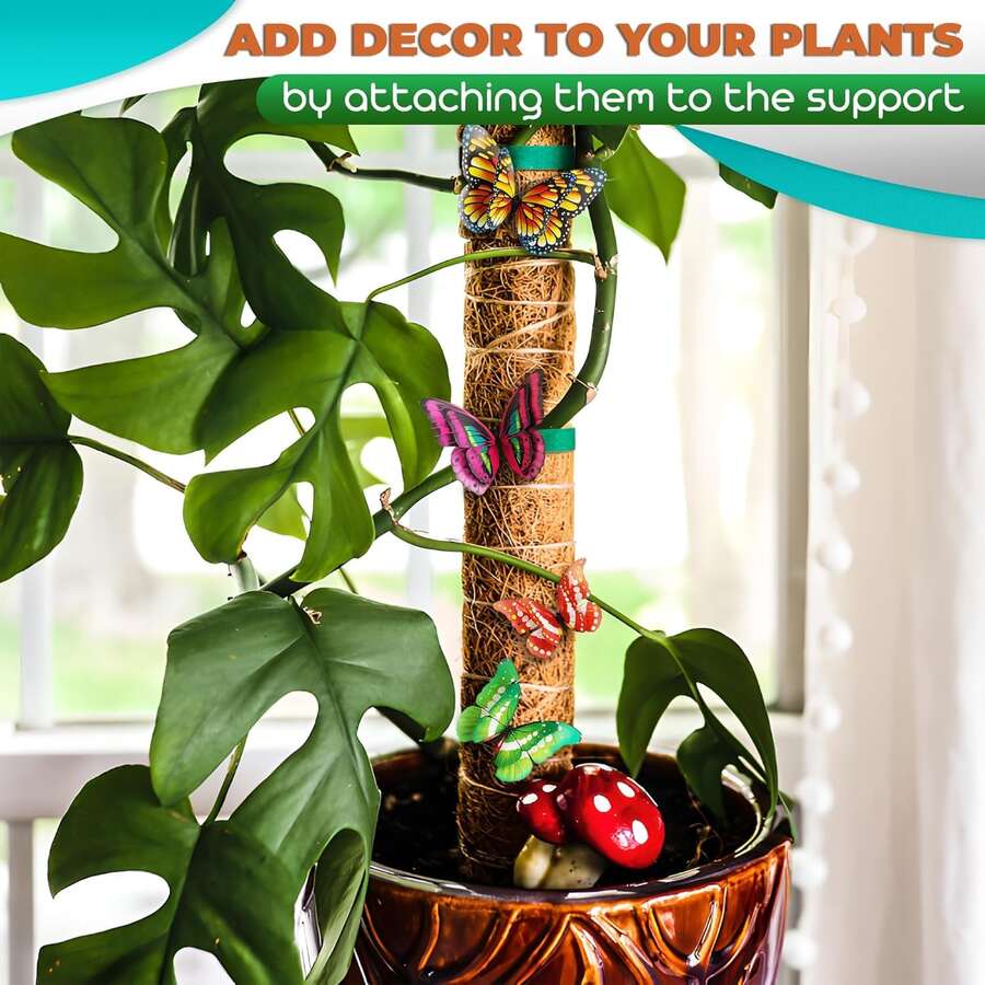 30/40/50/100cm Plant Climbing Rod Climbing VineCoconut Palm Rod Diy ...