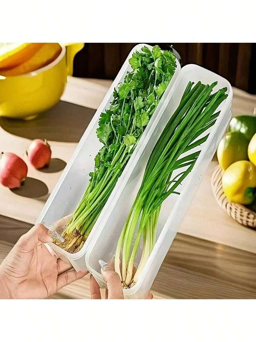 Coriander Box, Green Onion Storage Box, Fridge Vegetable Saver Tools ...