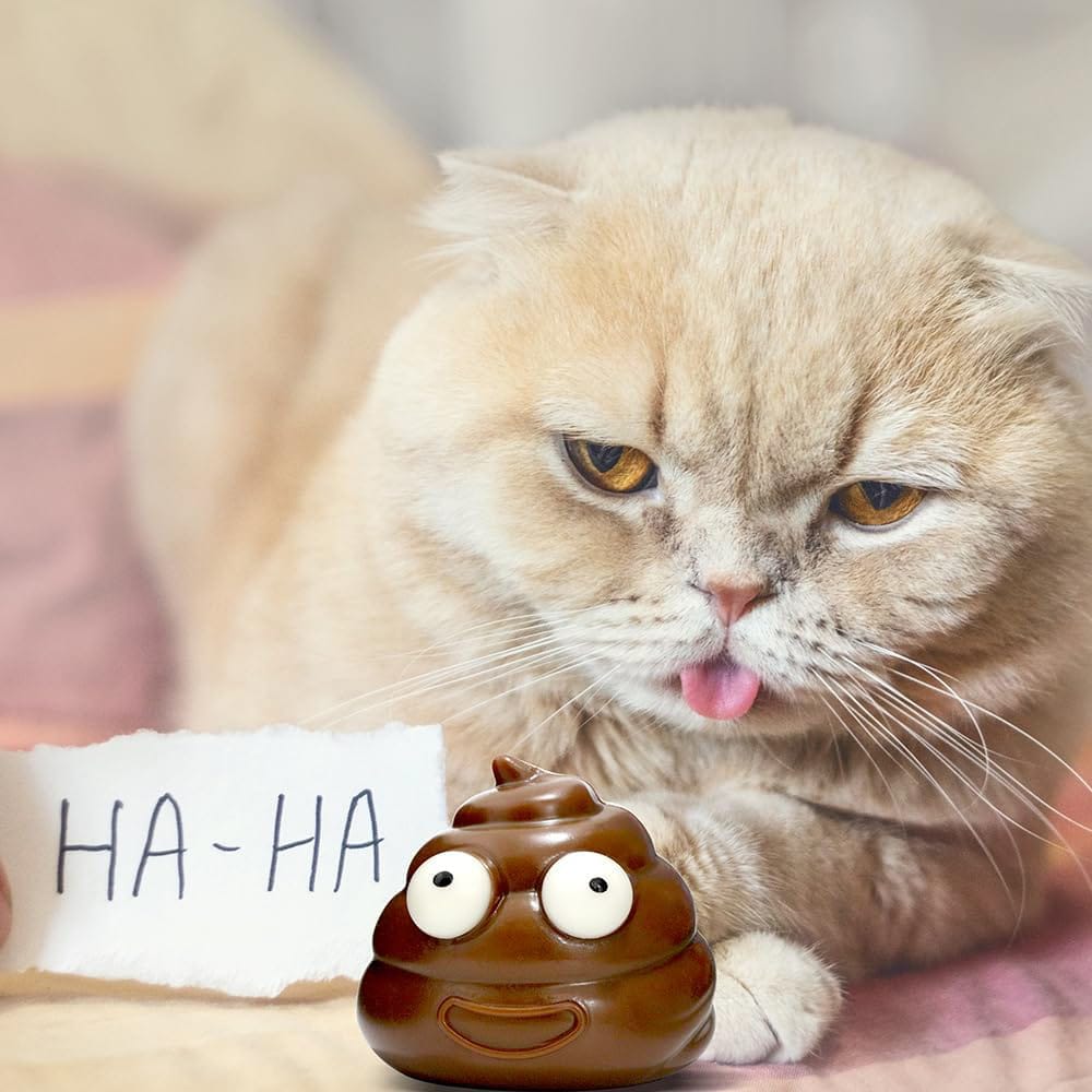 1pc Cute Fidget Squeeze Poop Playings Stress Relief Ball Gift, Stress ...