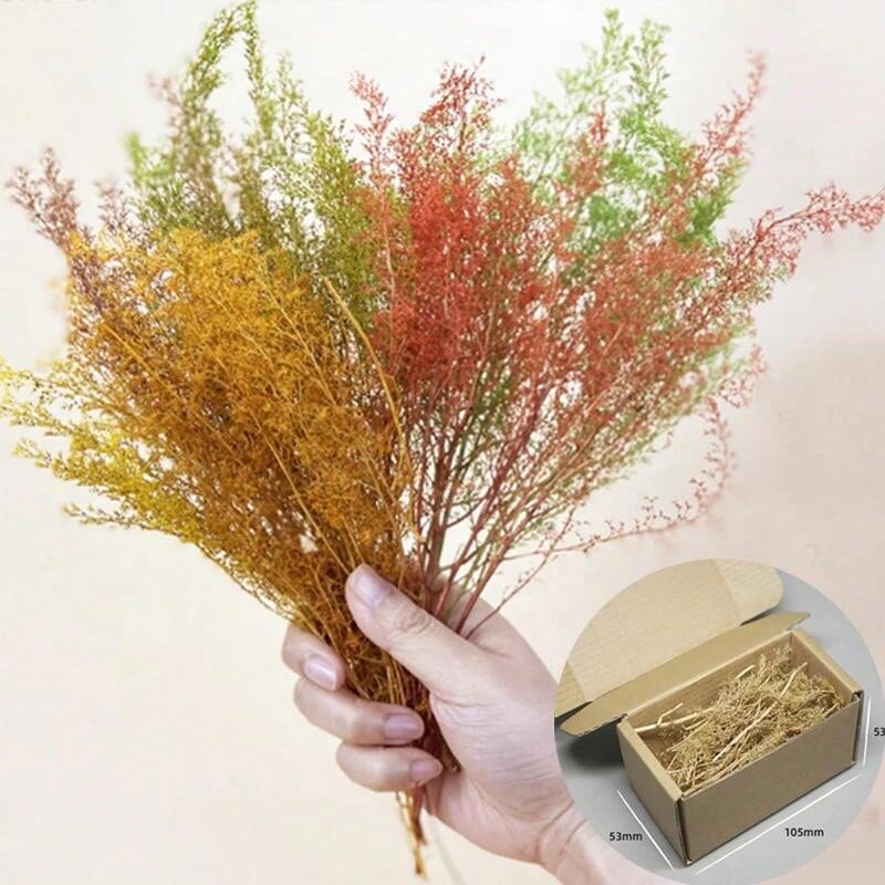 Kit de modèle d'herbe sèche, matériaux de plante de quinoa DIY pour ...