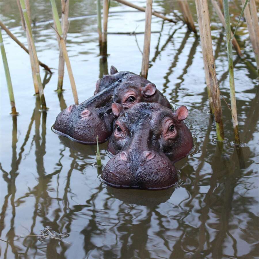 Your Backyard Needs A Splashing Hippo - Floating Hippo Head, Create A ...