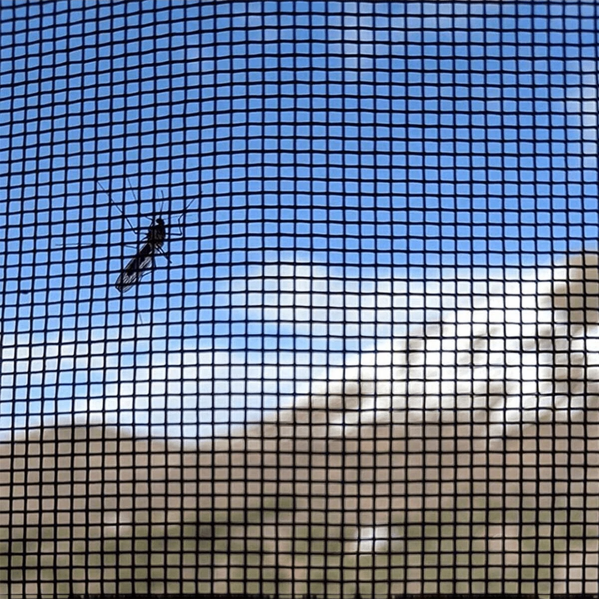 Self-Adhesive Removable Insect Proof Window Screen, Black Mesh Curtain ...