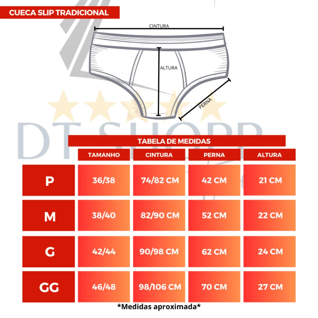 Kit 5 Cuecas Slip Tradicional Adulto | SHEIN Brasil