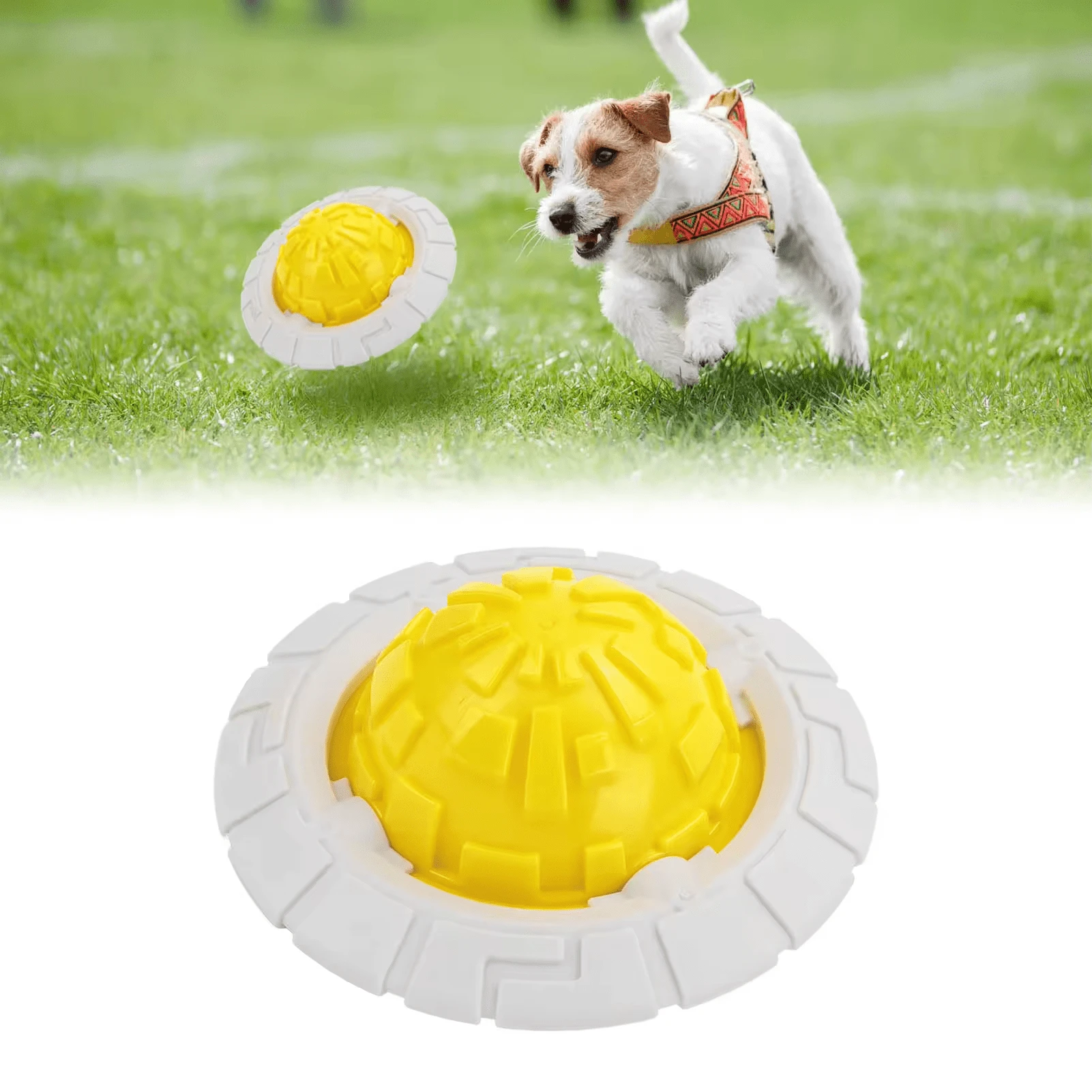 Tendry Squeaky Dog Flying Disc Chew Toy - Indestructible Interactive ...