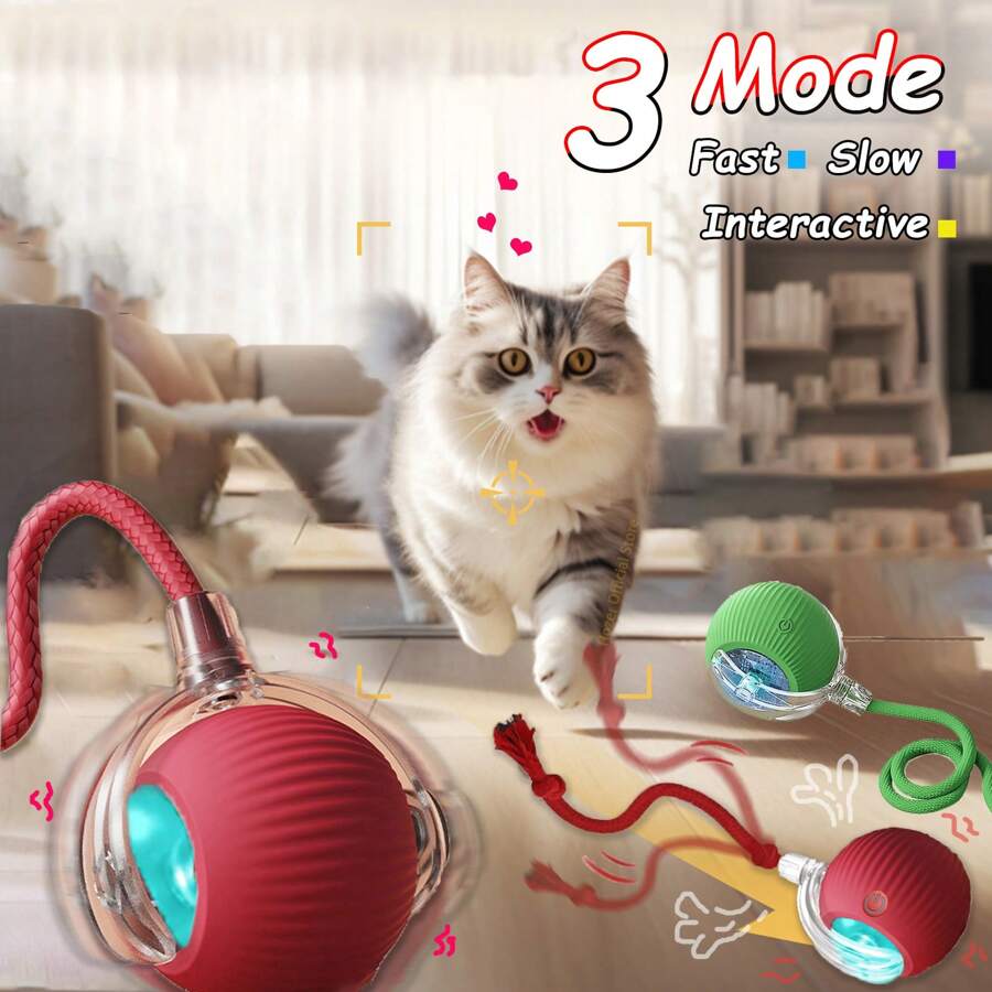 Tendry Interactive Squeaky Cat Ball, Anti-Biting Automatic Cat Ball ...