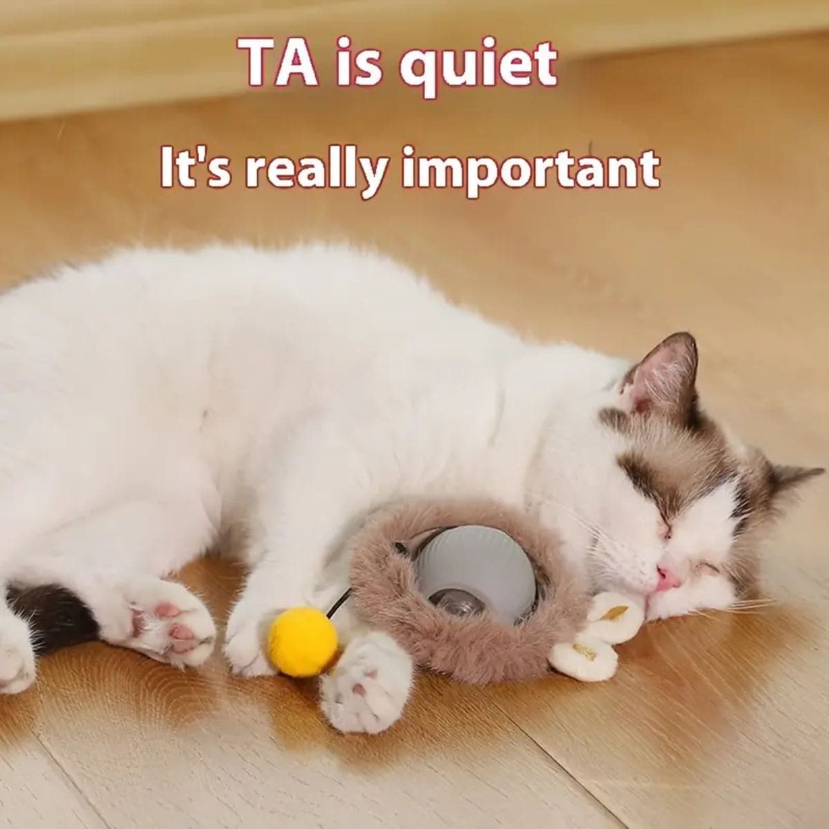 Intelligent Interactive Cat And Dog Toy - USB Rechargeable Cat Toy Ball ...