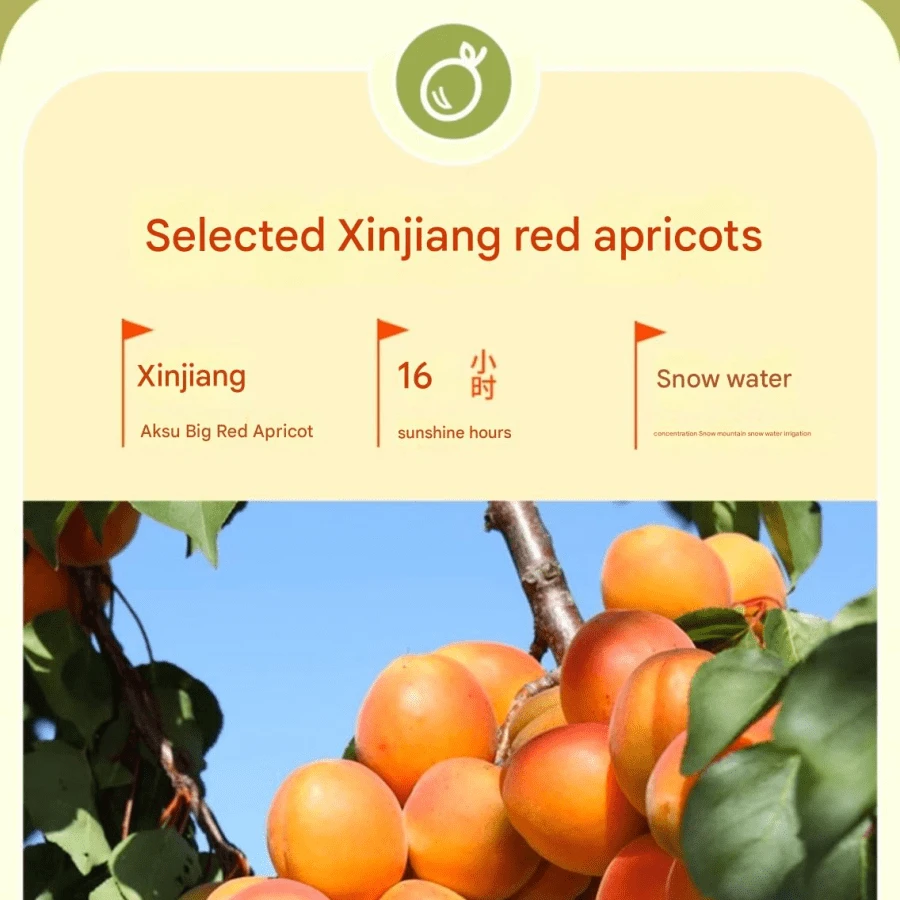 Dried Red Apricots Are Seedless, Soft, Sweet And Satisfying Snacks ...