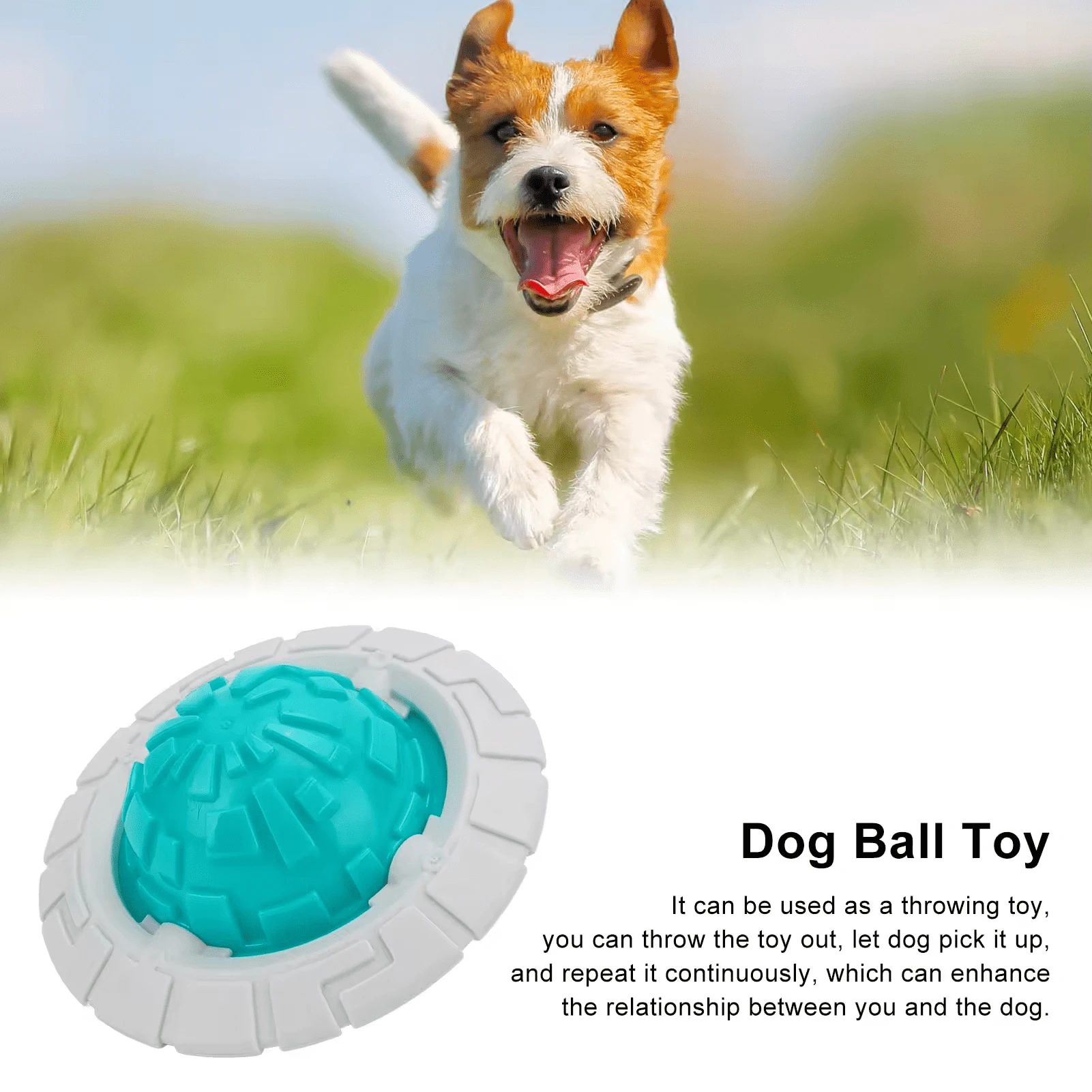 Tendry Squeaky Dog Flying Disc Chew Toy - Indestructible Interactive ...