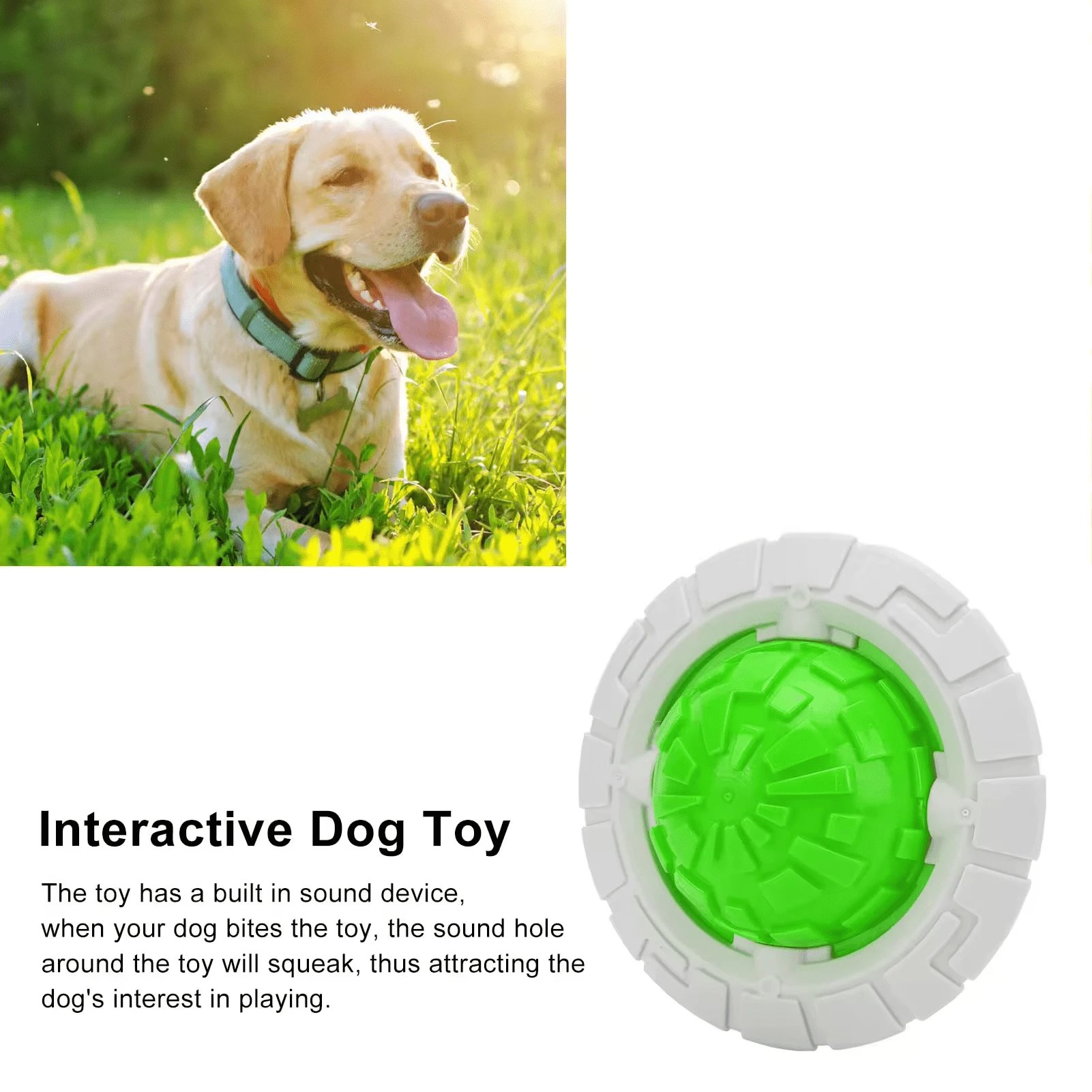 Tendry Squeaky Dog Flying Disc Chew Toy - Indestructible Interactive ...