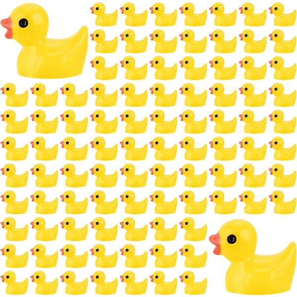 Search ducks | SHEIN UK