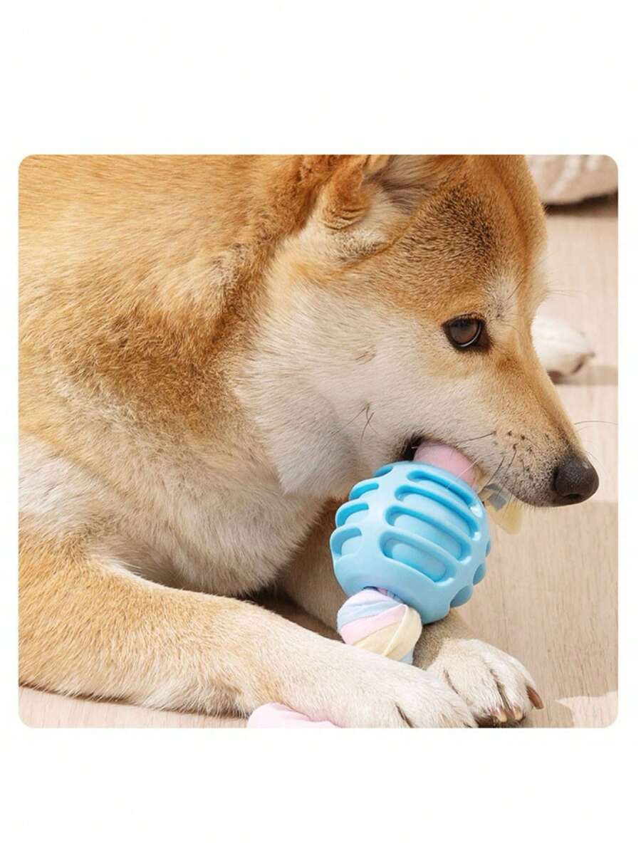 1pc Random Small Dog Chew Toy, Soft Rubber Tooth Cleaning Outdoor ...