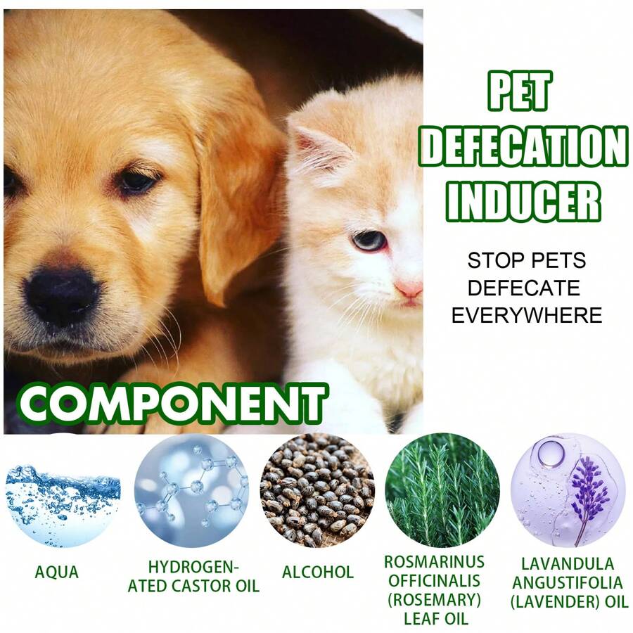 Yegbong Pet Targeted Defecation Inducer Pet Toilet Inducer Urine And ...