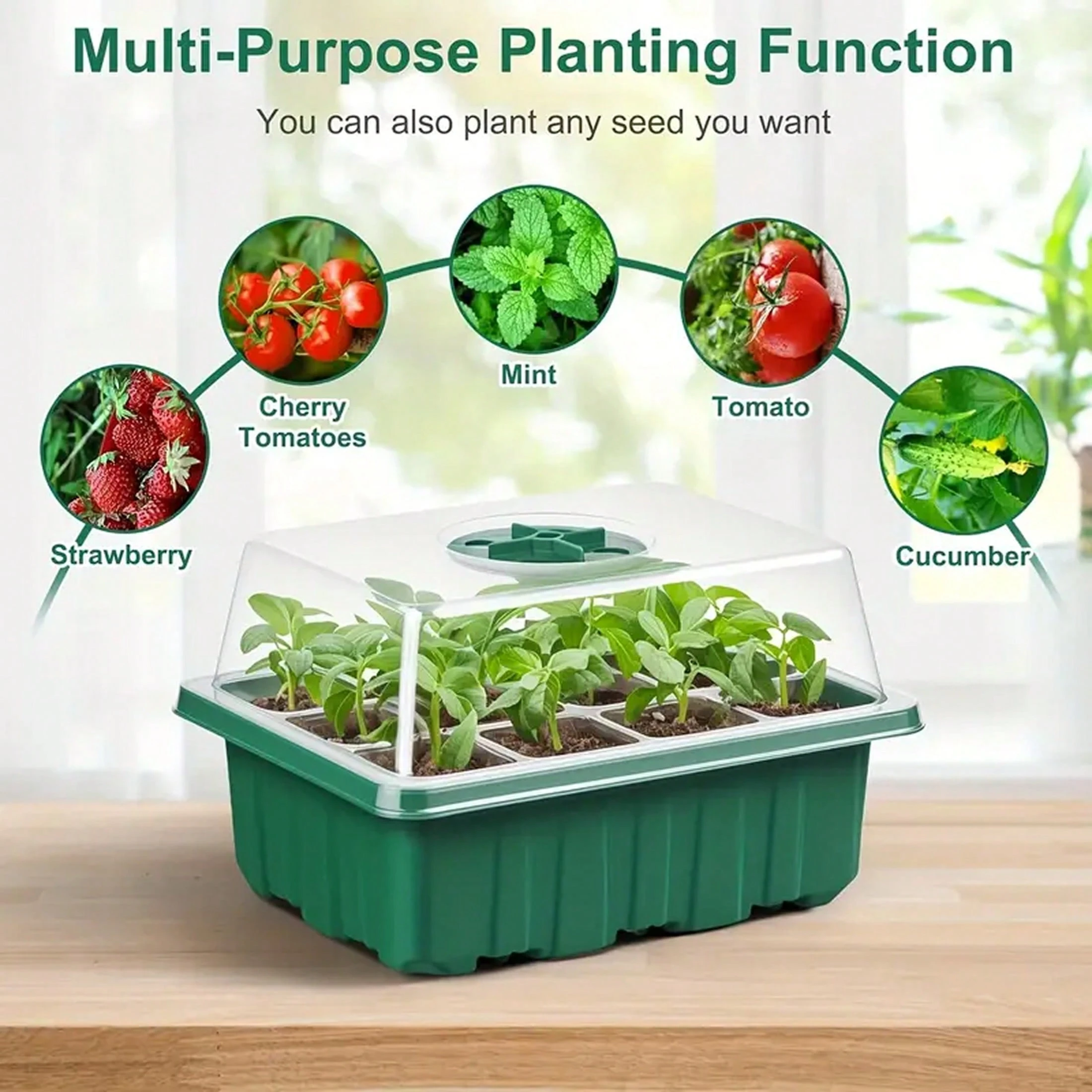airskyce 10 Piece Seed Starting Tray Seed Starting Kit With Humidity ...