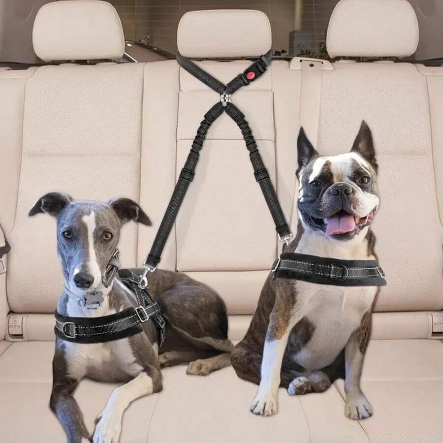 Nylon Double Dog Vehicle Harnesses With Adjustable Elastic Buffer Leash ...