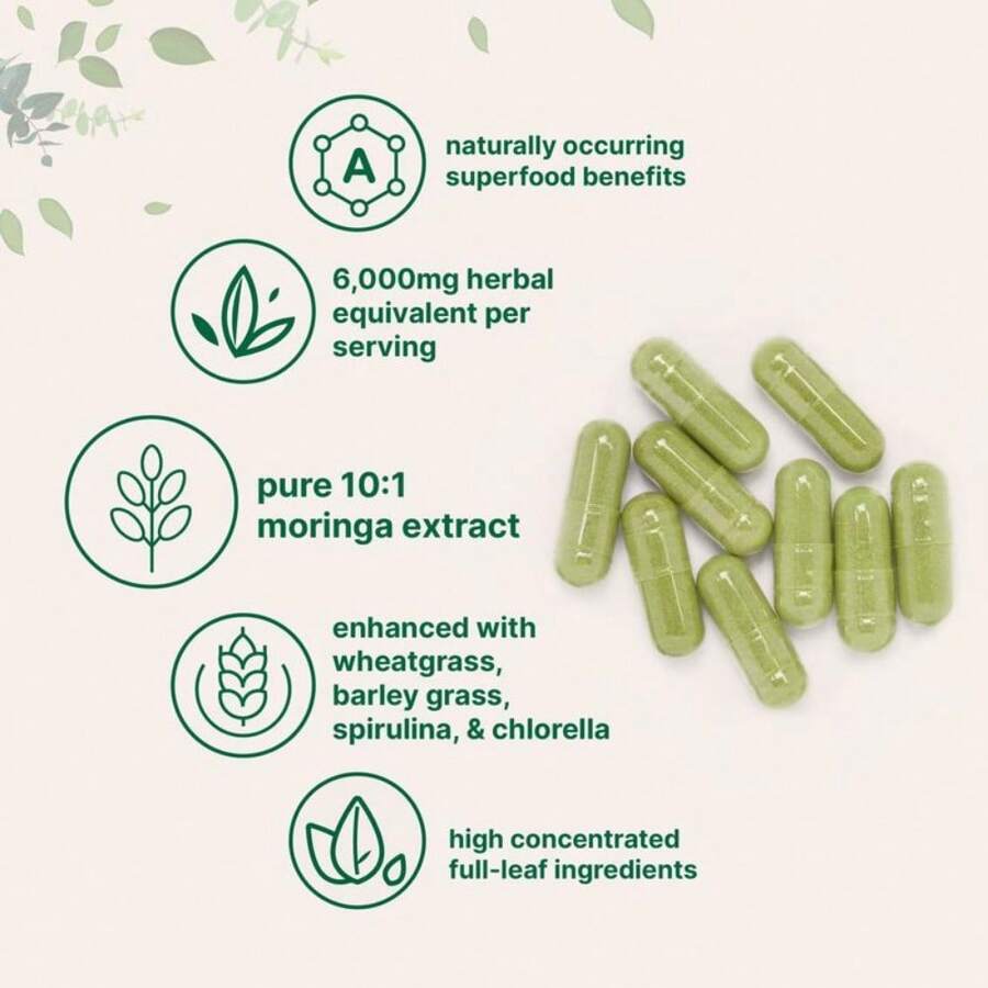 Moringa Oleifera 6,000mg Equivalent | 300 Capsules With Supergreens ...