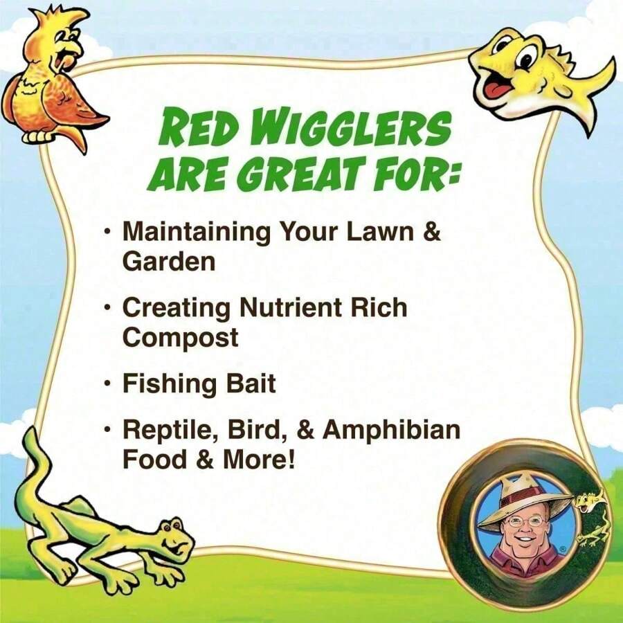 Red Wiggler Composting Worms Mix For Garden Soil Or Fishing | Pack Of ...