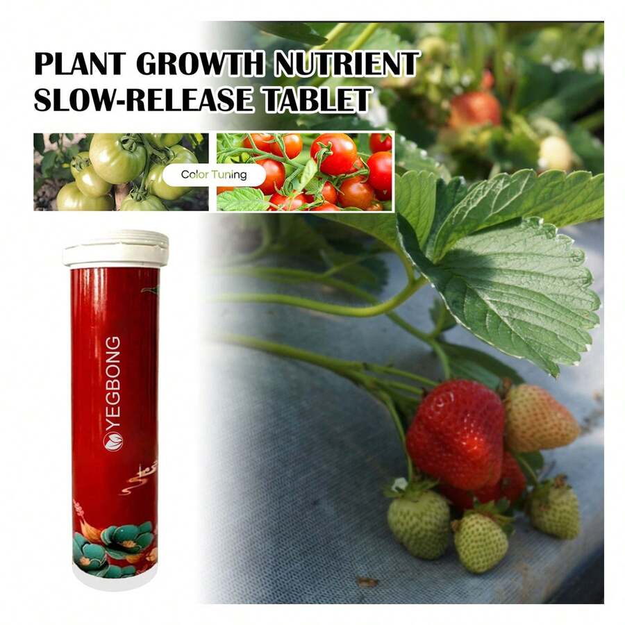Plant Growth Nutrition Sustained-Release Tablet, Fruit And Vegetable ...