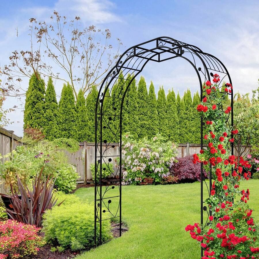 ChenHubC Metal Garden Arch W74.4'' X H98.4'' Garden Arbor Trellis ...
