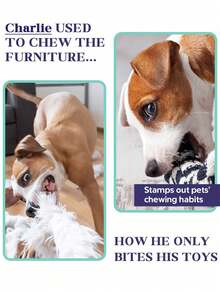 SHEIN 3 Peças/5 Peças Spray Antimastigação de PET para Cães, Pare de ...