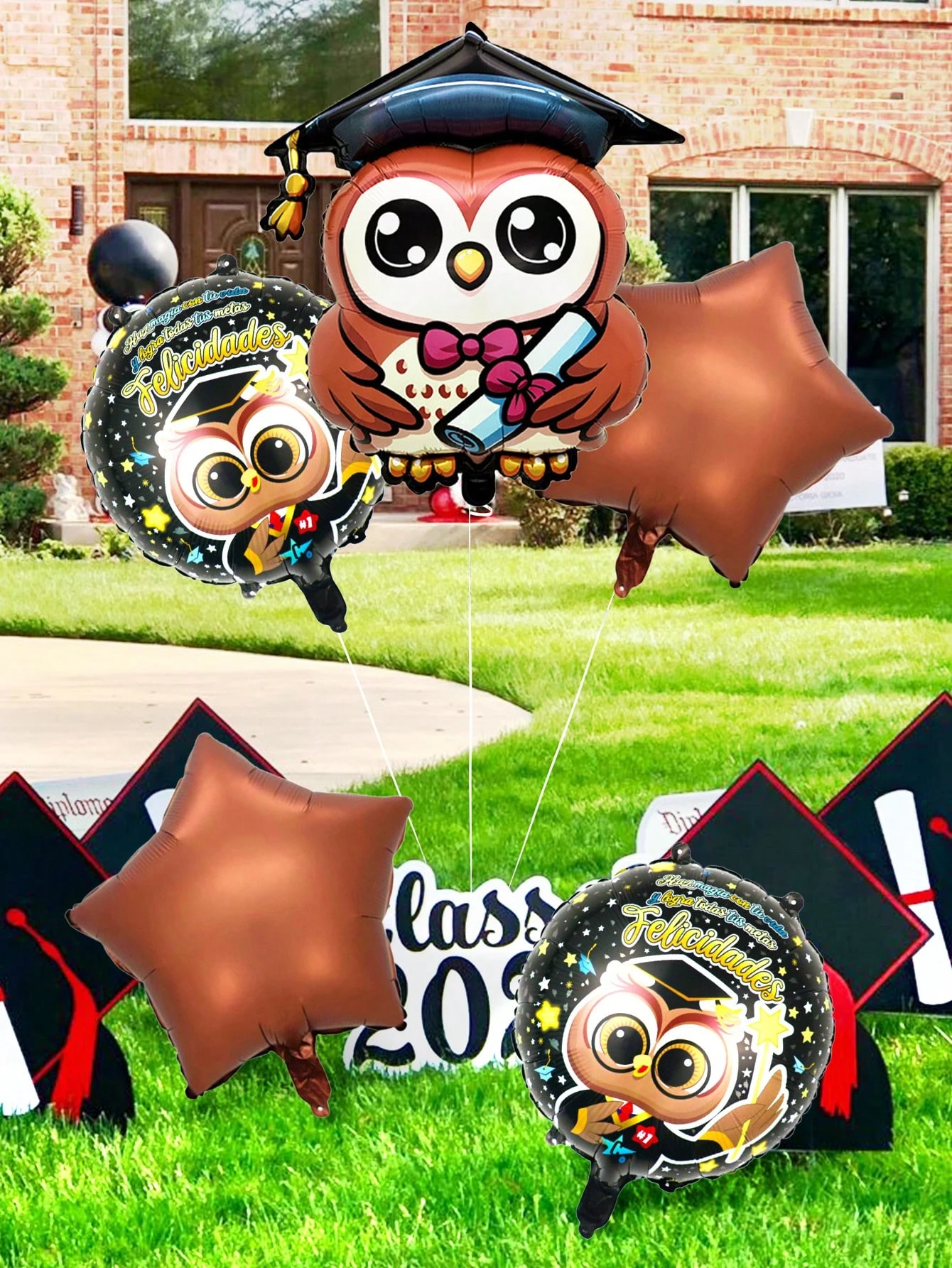 5pcs Graduation Balloon Set, Includes Graduation Bee, Owl, Double-Sided ...