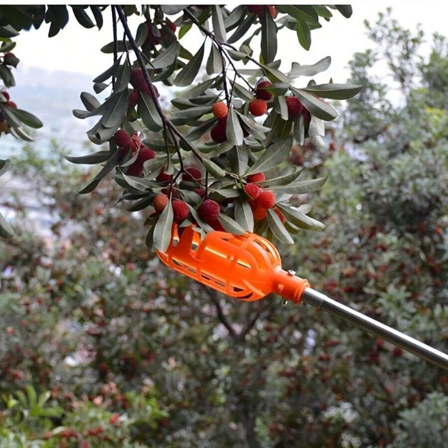 Adjustable Fruit Picker Tool - Mango, Cherry, Lemon Harvester With ...