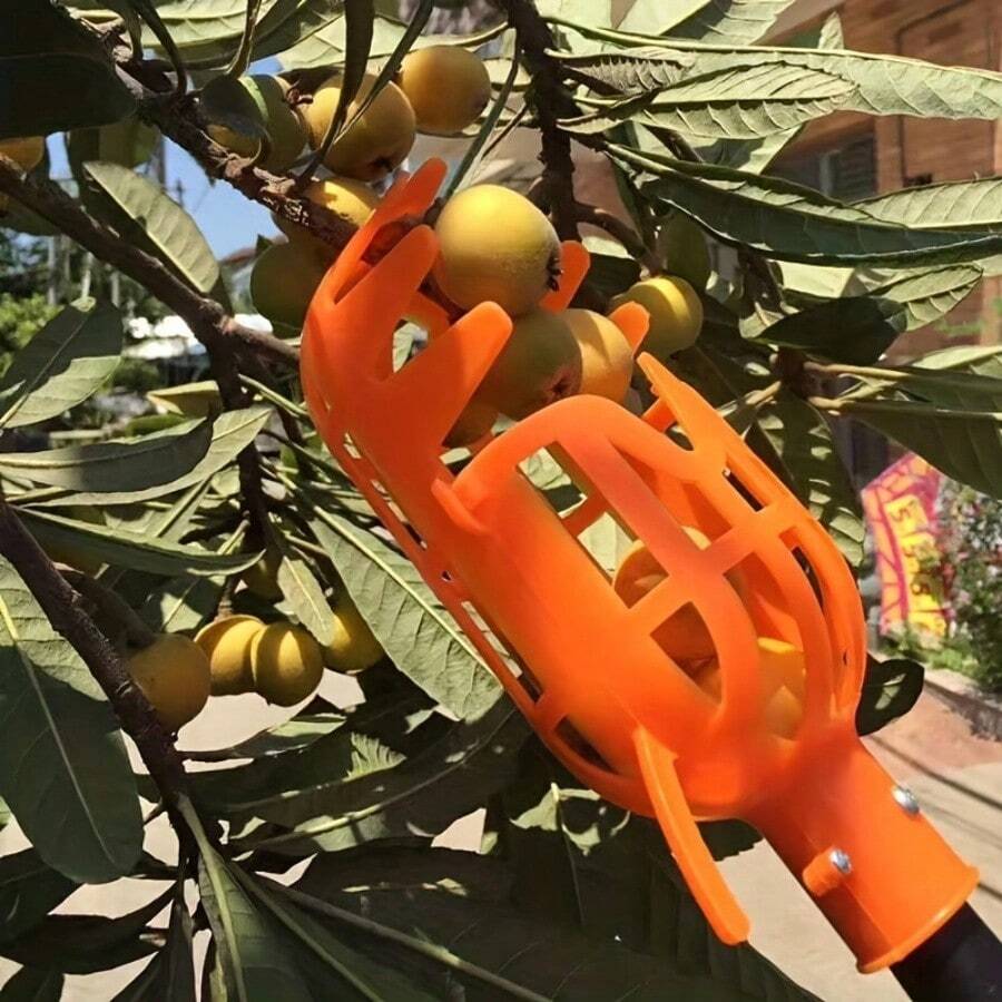Adjustable Fruit Picker Tool - Mango, Cherry, Lemon Harvester With ...