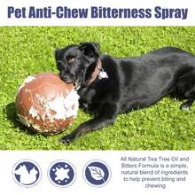 Pet Bitter Spray For Preventing Dogs From Chewing Tables, Chairs, Legs ...