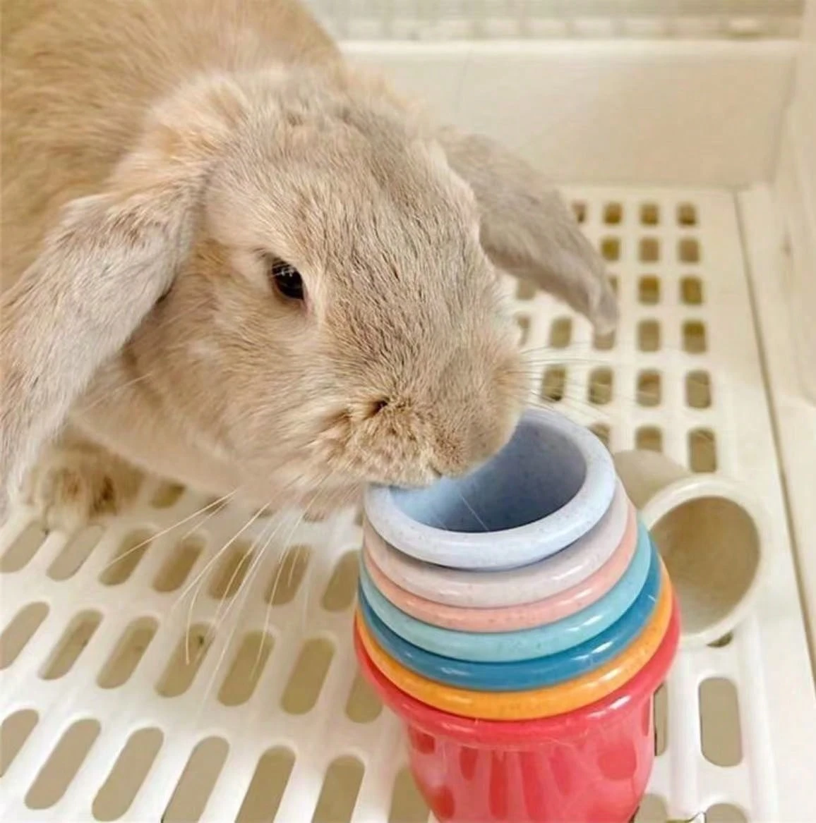 Stackable Rabbit Cups, Colorful Small Animals Rich Toys, Interactive ...
